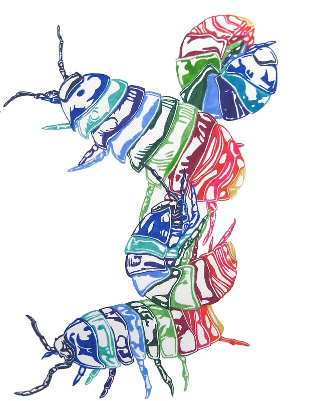 "Roly Poly " by RaLiz | Redbubble