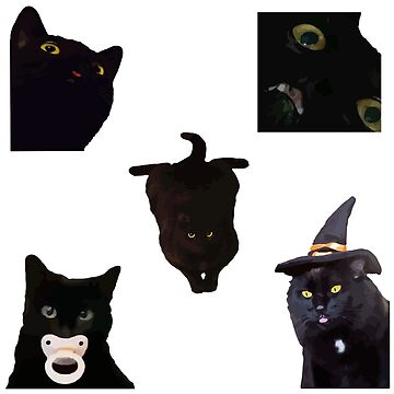 "Cursed black cat meme stickers" Sticker for Sale by Kuuhee | Redbubble