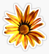 Wildflower: Stickers | Redbubble