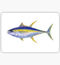 Yellowfin Tuna: Stickers | Redbubble