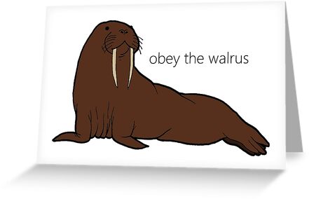 Obey The Walrus