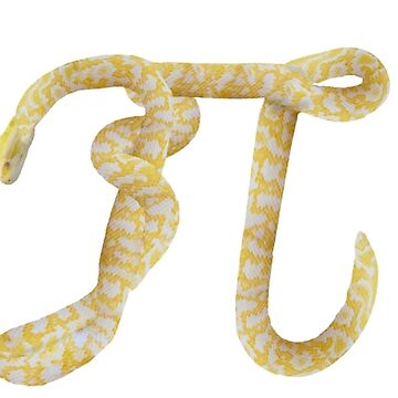 "PI-THON" Sticker for Sale by ScottSherwood | Redbubble