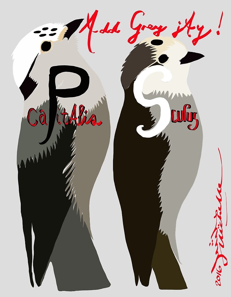 "Grey jay" by michdevilish | Redbubble