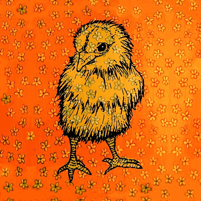"BIDDY" by ARTito | Redbubble