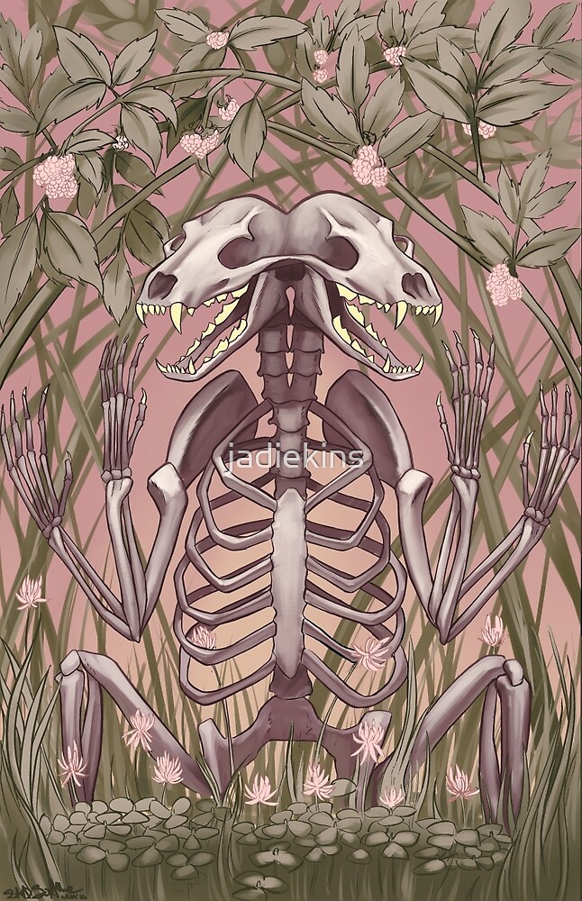 "Two Headed Fox" by jadiekins | Redbubble