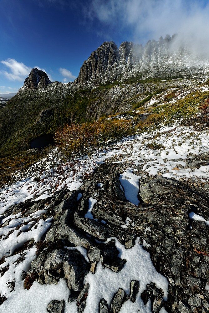 "Good Morning Cradle" by Robert Mullner | Redbubble