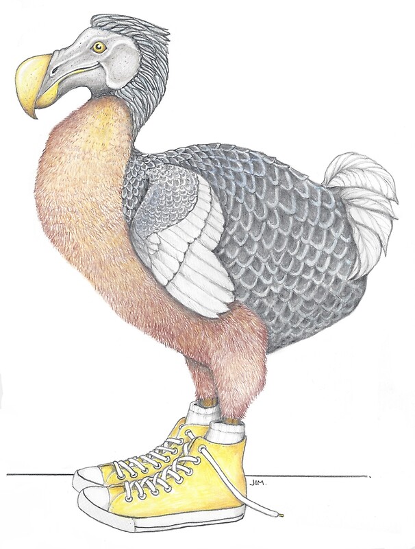 "Dodo in High Tops" by JimsBirds | Redbubble