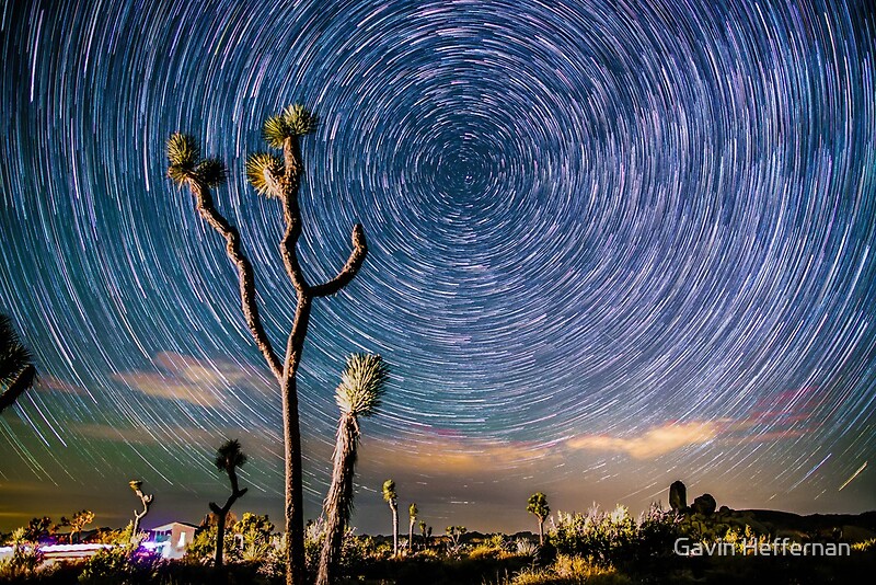 "Polaris Star Trails Spin Around Yucca in Joshua Tree" by Gavin ...