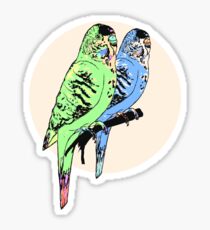 Budgie: Stickers | Redbubble