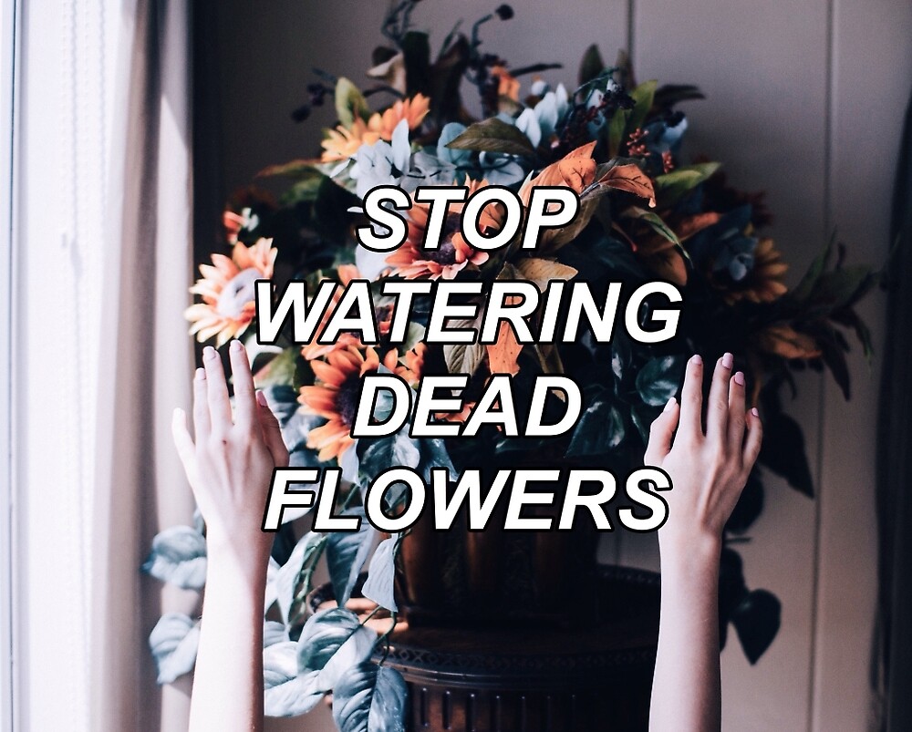 STOP WATERING DEAD FLOWERS By Allison B Redbubble stop-watering-dead-flowers-by-allison-b-redbubble