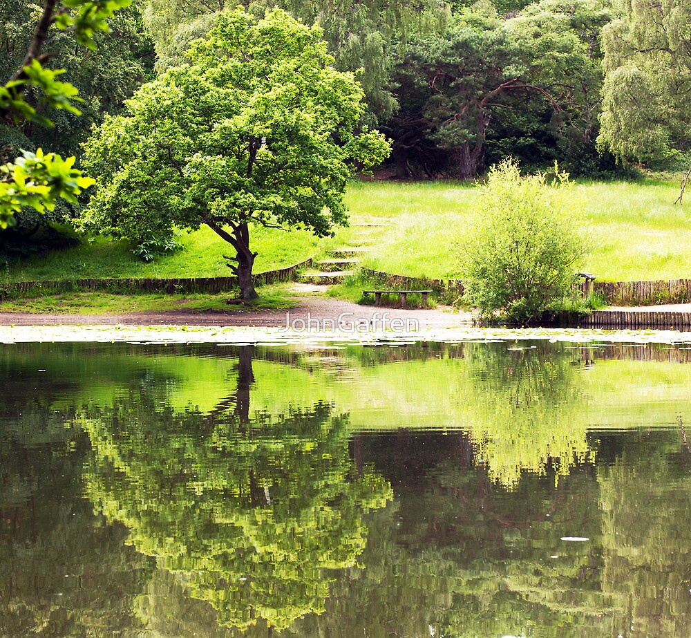 "Keston Ponds" by John Gaffen | Redbubble