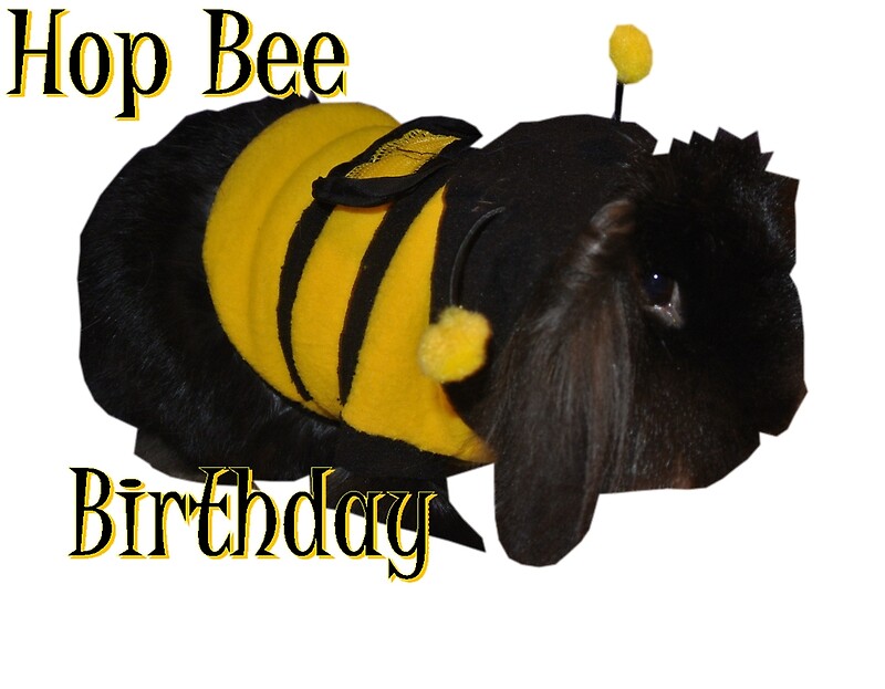 "Hop Bee Birthday" by Lauragusgus14 | Redbubble