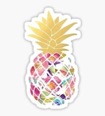 Pineapple: Stickers | Redbubble