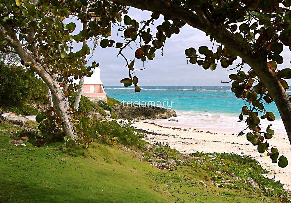 "John Smith Bay, Bermuda" by triciamary | Redbubble