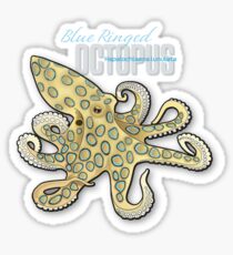 Octopus: Gifts & Merchandise | Redbubble