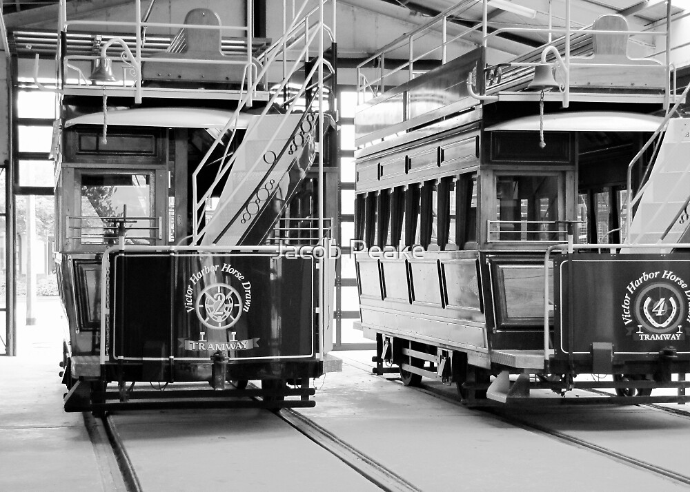 "Horse Drawn Trams" by Jacob Peake | Redbubble