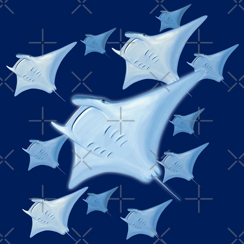 "Manta Ray Pattern" by TMBTM | Redbubble