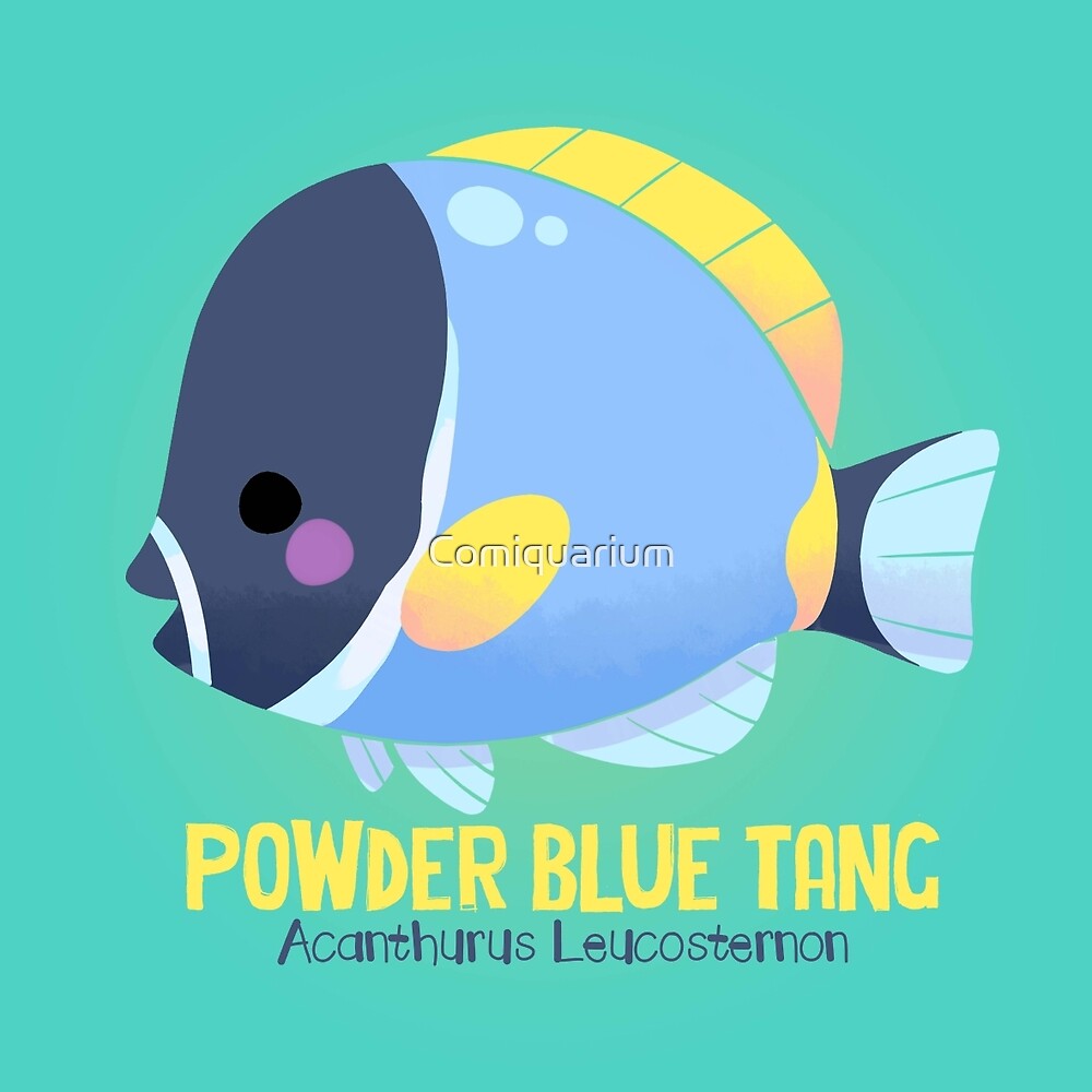 "Powder Blue Tang 2" by Comiquarium | Redbubble