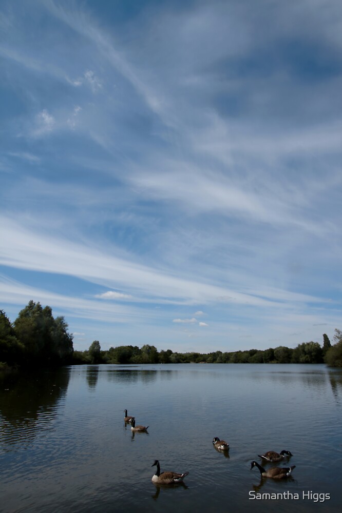 "Thatcham Lakes" by Samantha Higgs | Redbubble