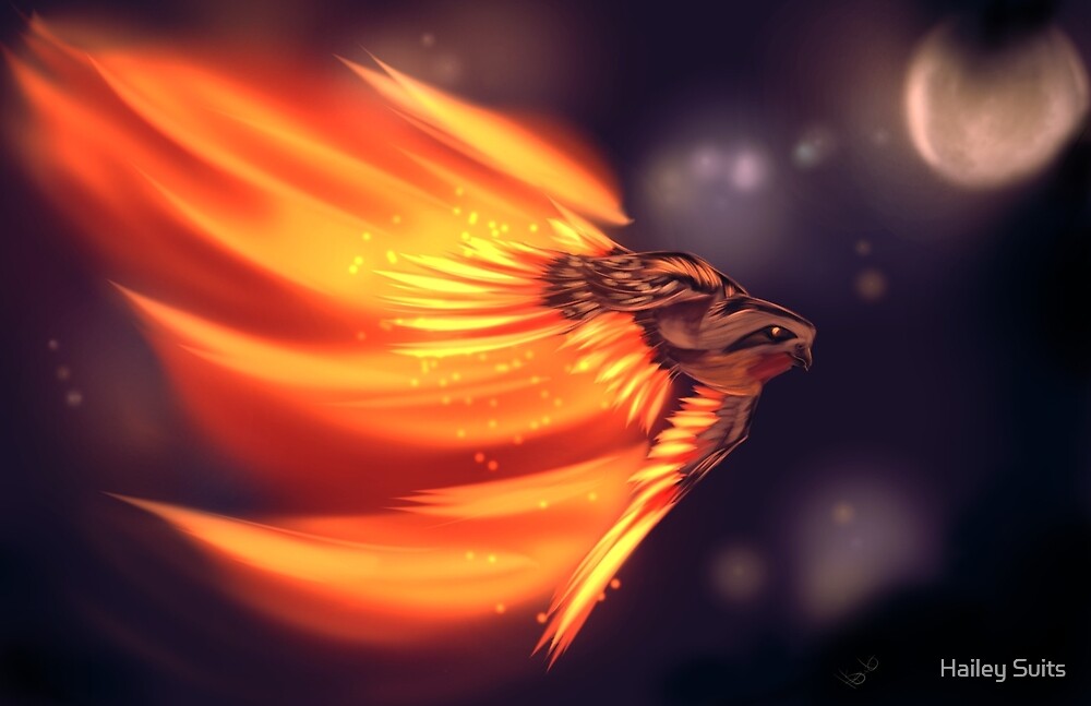 "Falconet Phoenix" by Hailey Suits | Redbubble