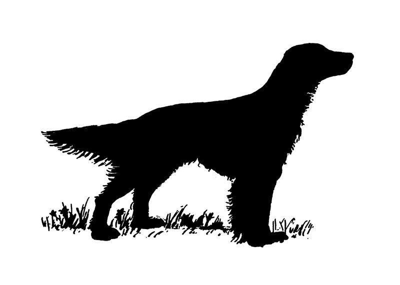 English Setter Silhouette: Wall Art | Redbubble