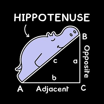 "Hypotenuse Math Pun, Hippotenuse" Kids T-Shirt for Sale by TashaVector ...