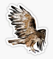 Bird: Stickers | Redbubble