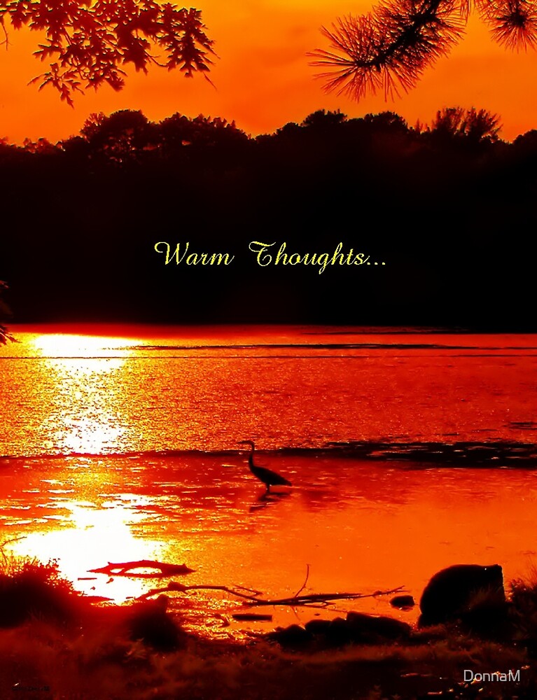 "Warm Thoughts" by DonnaM | Redbubble
