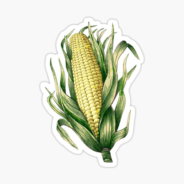 Corn Stickers | Redbubble