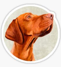 Vizsla Stickers | Redbubble