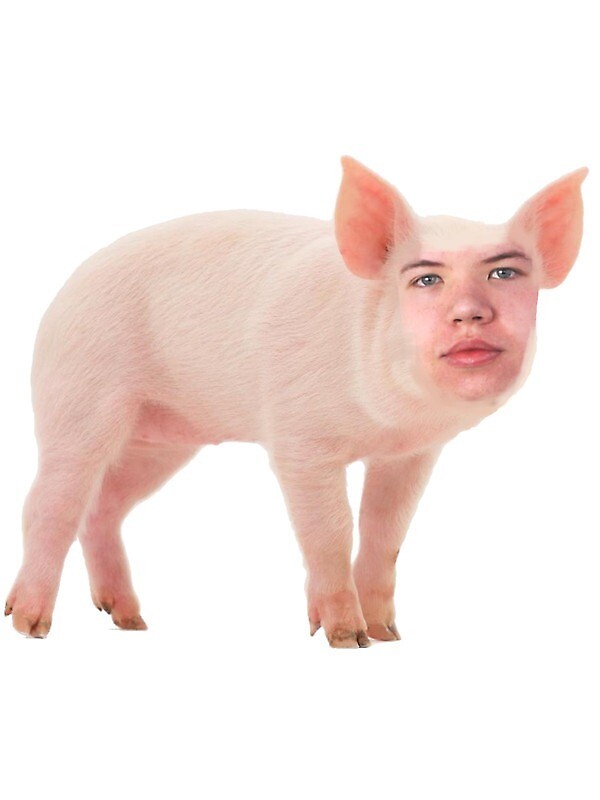 "Jw is a pig " by Ziken | Redbubble