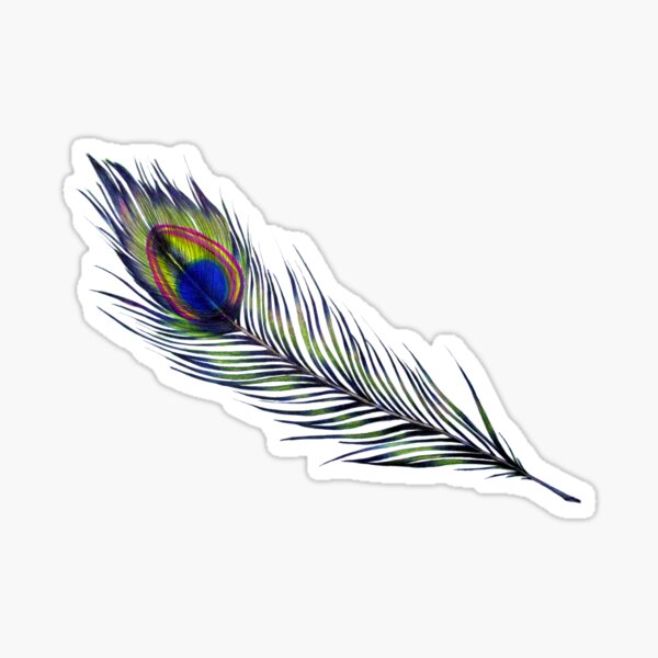 Peacock Feather Stickers | Redbubble