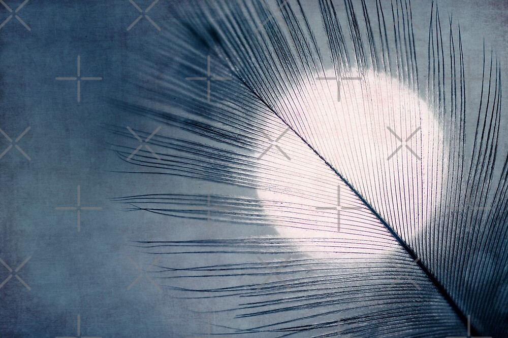 "indigo blue moon" by Ingrid Beddoes | Redbubble