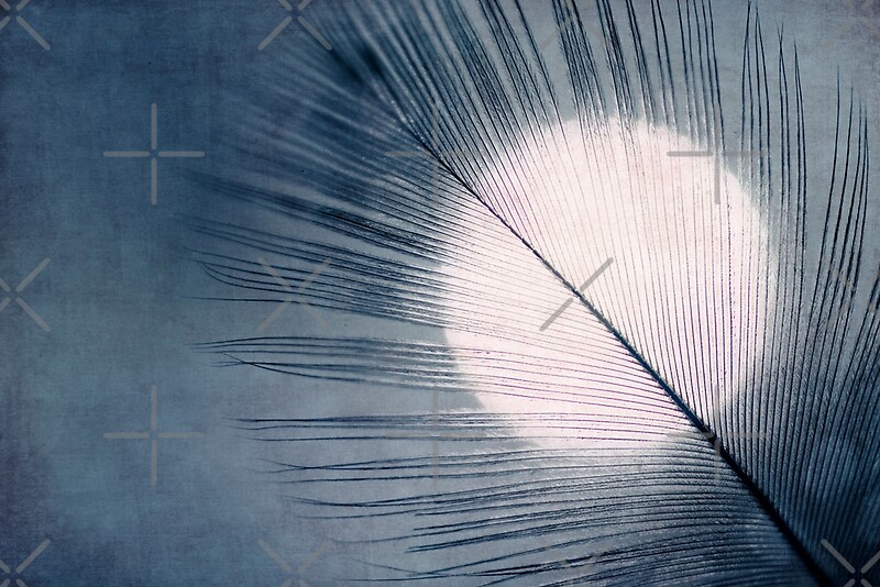 "indigo blue moon" by Ingrid Beddoes | Redbubble