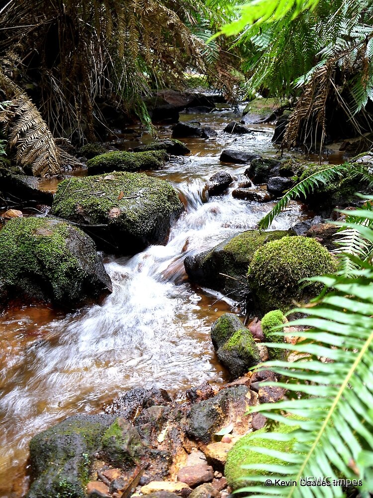"Australian bush stream" by NSWCamper | Redbubble