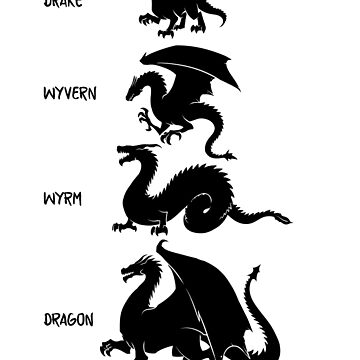 "Four Dragon Types Dragon Species" Photographic Print for Sale by ...