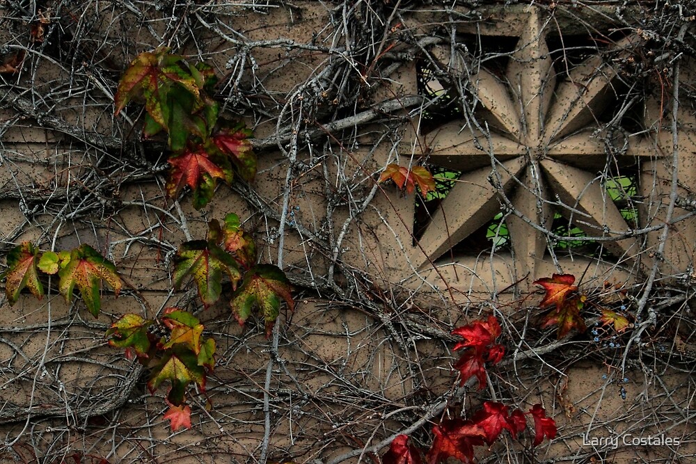 "Cemetery Wall- Study Of Textures" by Larry Costales | Redbubble
