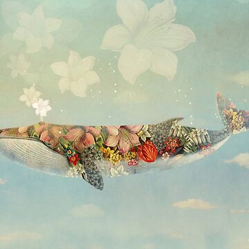 "Flower whale" Greeting Card by Catrin Welz-Stein | Redbubble