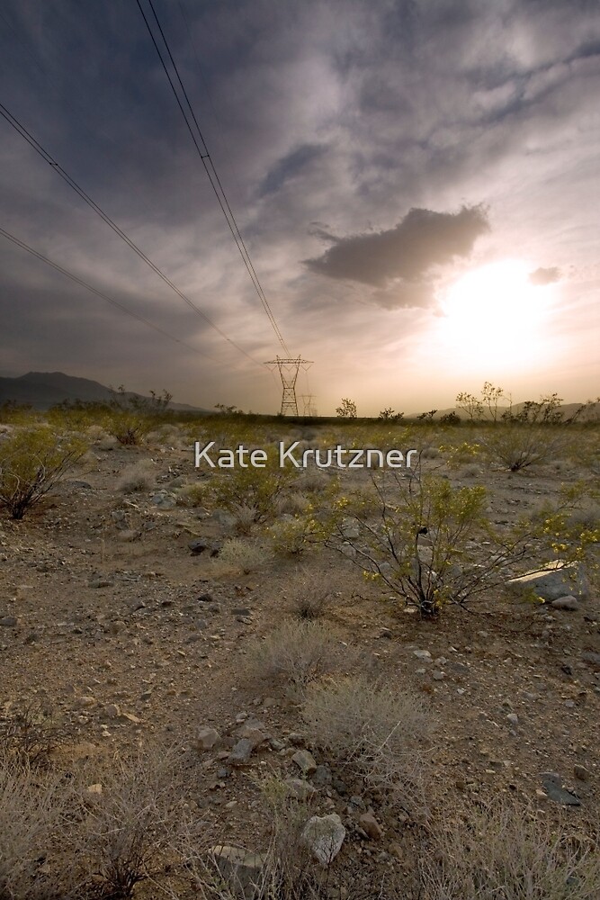 "Burma Bull in the Mojave " by Katie Krutzner | Redbubble