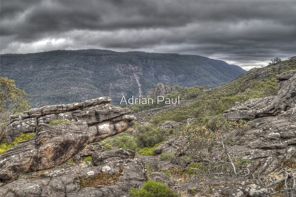 "The Pinnacle Walk, The Grampians, Victoria" by Adrian Paul | Redbubble