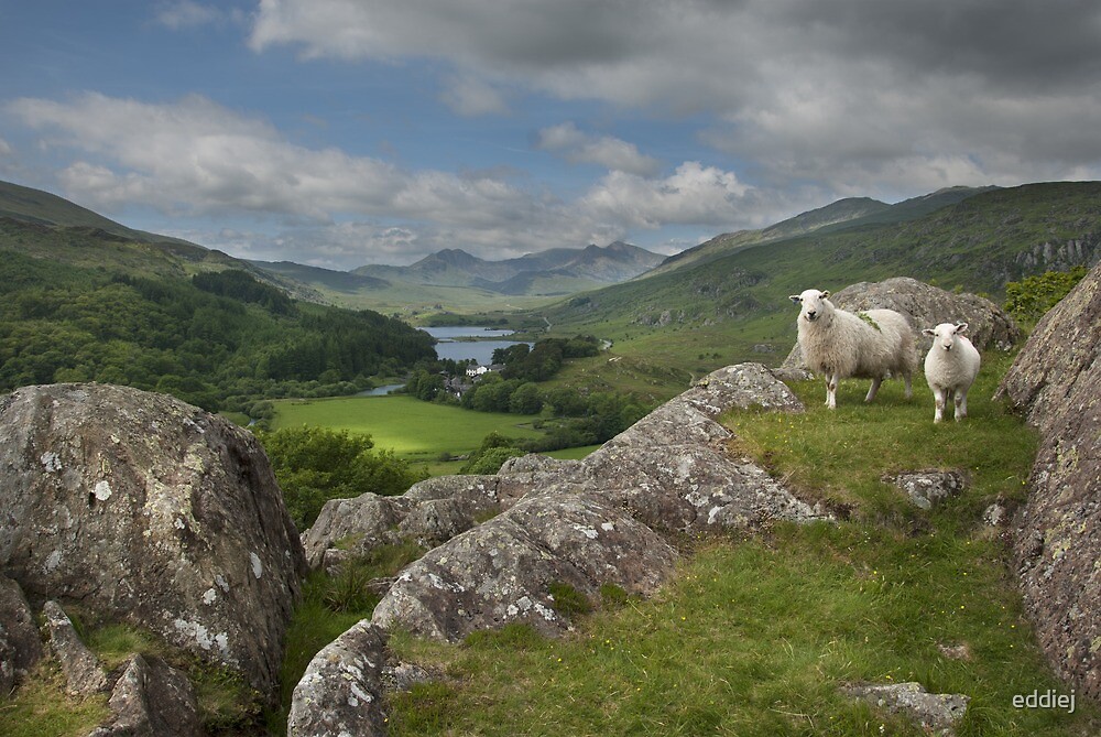 " Y Pincin Snowdonia" by eddiej | Redbubble