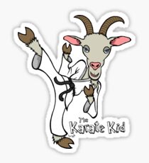 Karate Kid: Stickers | Redbubble