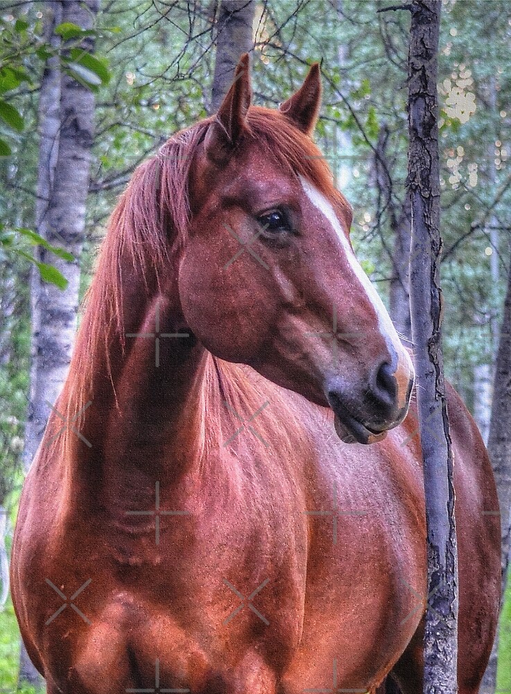 "Red Flame (Sorrel Mare Portrait for Horse-lovers)" by Skye Ryan-Evans ...