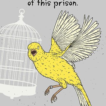 "Angry Canary" Sticker for Sale by hervegraph | Redbubble