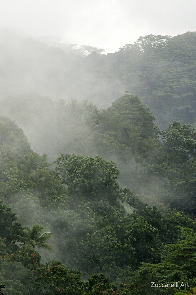 "Rainforest Mist - Pohnpei, Micronesia" by Alex Zuccarelli | Redbubble