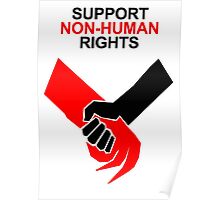 Human Rights: Posters | Redbubble