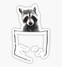 Rocket Raccoon: Stickers | Redbubble