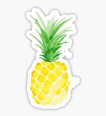 Pineapple: Stickers | Redbubble