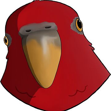 "Red Bird Staring" Sticker for Sale by hwymer | Redbubble