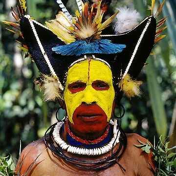 "Papua New Guinea Breathtaking Yellow-Face Huli Wigman (Photo ...
